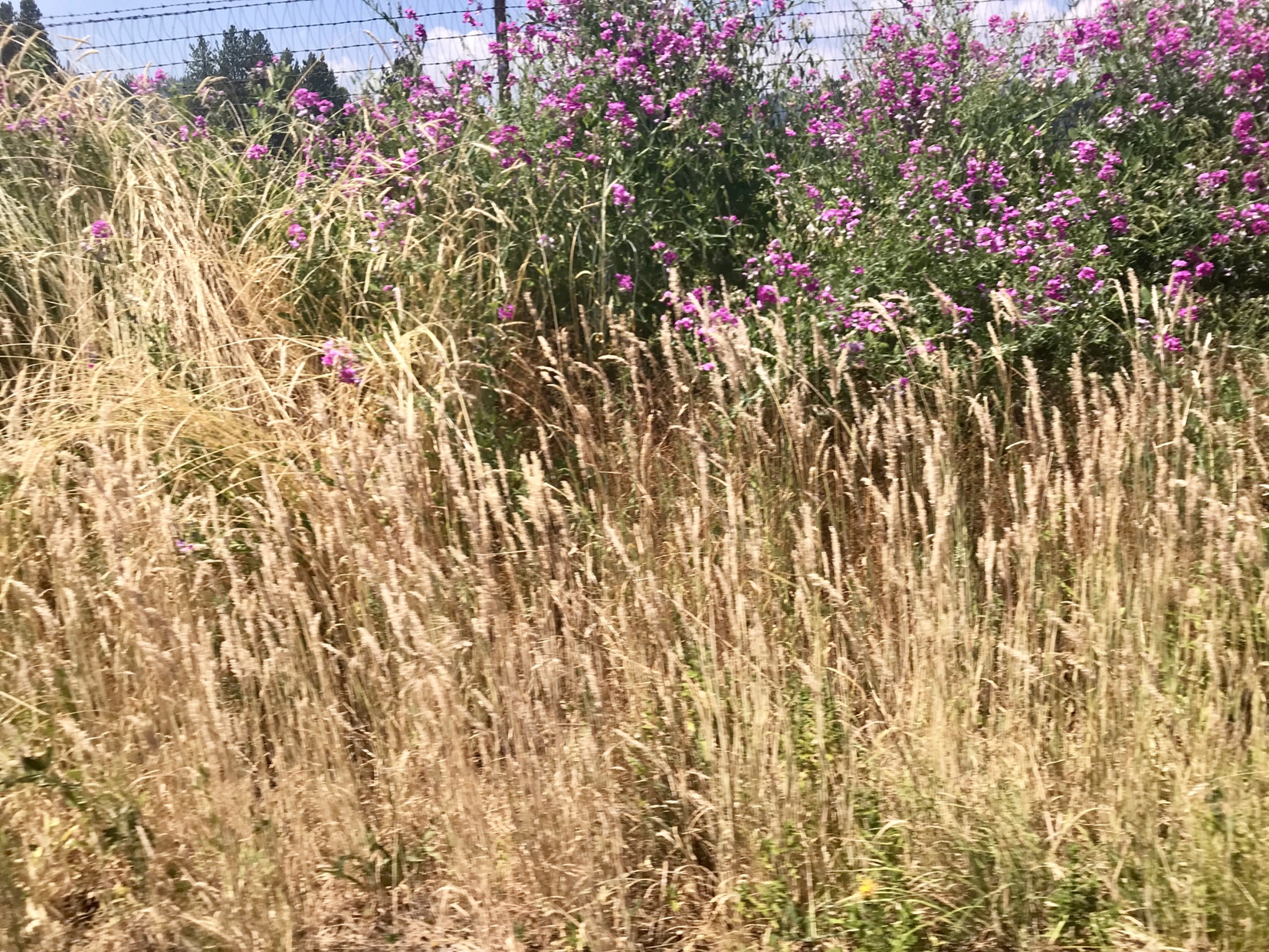 Knowing God’s Word (aka Logos) – Reconnection